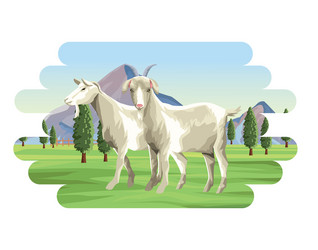 Farm Goats Vector Images (over 14,000)