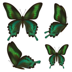 Butterfly Side View Vector Images (over 250)