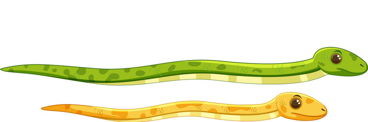 Anaconda Clip Art