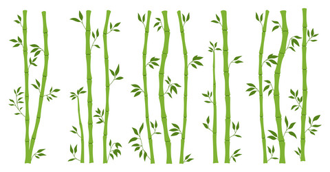 Bamboo stem leaf silhouette borders set exotic Vector Image