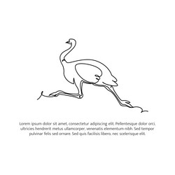 Ostrich line design simple animal silhouette Vector Image