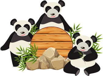Three Pandas Vector Images (77)
