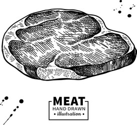 Raw meat Royalty Free Vector Image - VectorStock