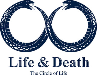 Snake eating its own tale uroboros Royalty Free Vector Image