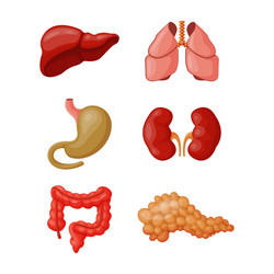 Realistic sick human organs set anatomy Royalty Free Vector