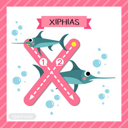 Letter X Flashcards Vector Images (over 140)