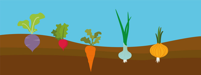 Cartoon Vegetables Vector Images (over 160,000)