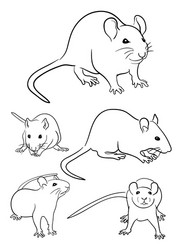 Mouse line art Royalty Free Vector Image - VectorStock