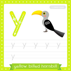 Letter y uppercase and lowercase tracing practice Vector Image