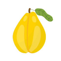 Quince Cartoon Vector Images (over 730)