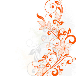 Floral design elements Royalty Free Vector Image