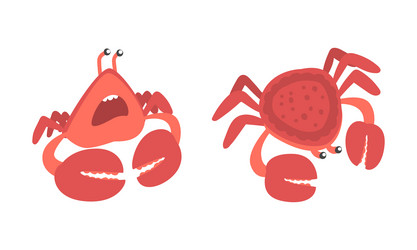 Red crab character as aquatic mammal with pair Vector Image