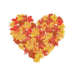Maple leaves in shape heart Royalty Free Vector Image