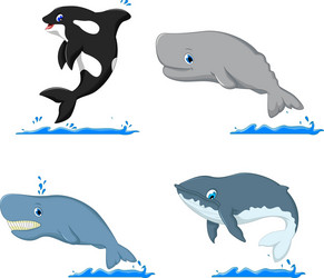 Cute gray whale cartoon smiling Royalty Free Vector Image