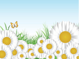 Daisy Vector Images (over 60,000)