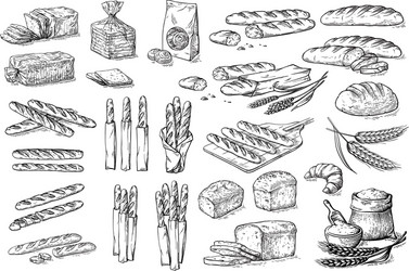 Bread Elements Collection Vector Images (over 13,000)