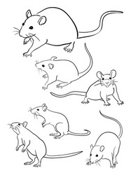 Mouse line art Royalty Free Vector Image - VectorStock