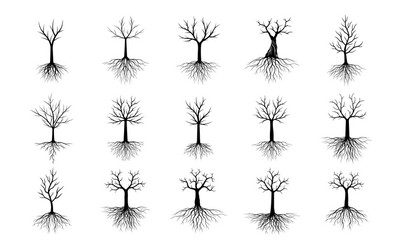 Color tree with roots Royalty Free Vector Image