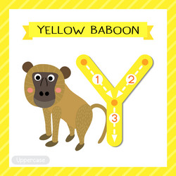 Monkey Flashcard Vector Images (over 140)