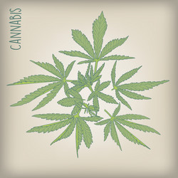 Hemp Vector Images (over 43,000)