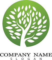 Tree symbol icon Royalty Free Vector Image - VectorStock