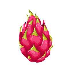 Dragon fruit slice cartoon Royalty Free Vector Image