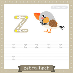 Letter z lowercase tracing practice worksheet Vector Image