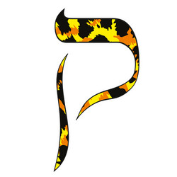 Hebrew letter called tau in animal print texture Vector Image