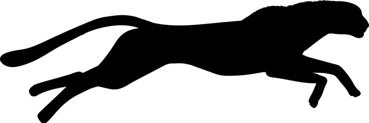 Black Panther Animal Running