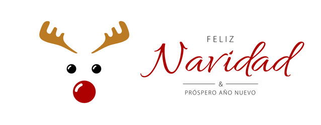 Christmas banner with lettering in spanish Vector Image