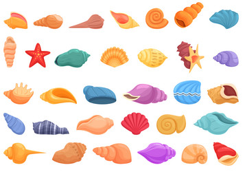 Conch Shell Cartoon Vector Images (over 1,300)
