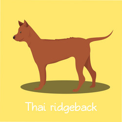 Thai ridgeback clipart different poses coat Vector Image