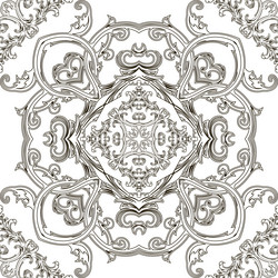 Baroque seamless pattern black and white floral Vector Image