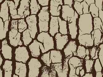 Bark close up texture black and white colors Vector Image