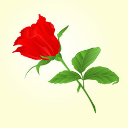 Rosebud Vector Images (over 2,100)