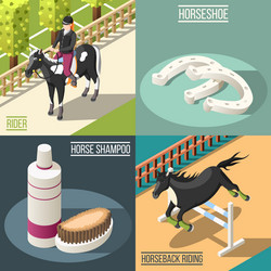 Infographic Equestrian Infographics Vector Images (over 210)