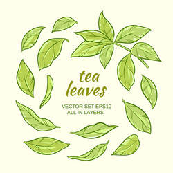Tea Vector Images (over 280,000)