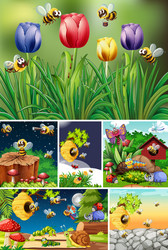 Set different insects living in garden Royalty Free Vector