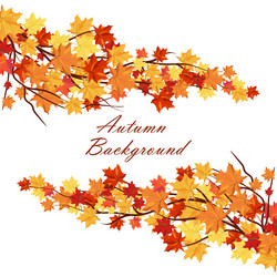 Autumn tree maple Royalty Free Vector Image - VectorStock