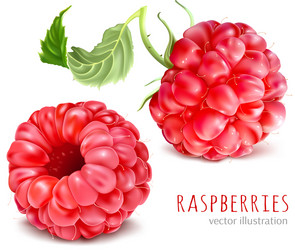 Raspberries Vector Images (over 26,000)