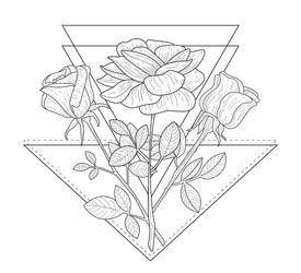 Rose flowers in triangle geometrical shapes hand Vector Image