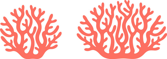 Red coral Royalty Free Vector Image - VectorStock