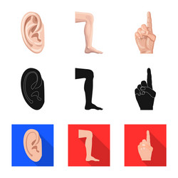 Human and part icon set Royalty Free Vector Image