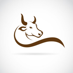 Bull design on white background wild animals Vector Image