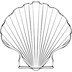 Scallop Shell Vector Images (over 10,000)