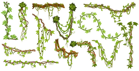 Vines Vector Images (over 74,000)
