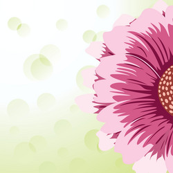 Gerbera Vector Images (over 3,300)