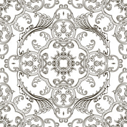 Baroque seamless pattern black and white floral Vector Image