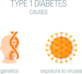 Diabetes Risk Factors Vector Images (58)