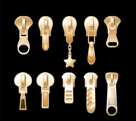 Golden zip set Royalty Free Vector Image - VectorStock
